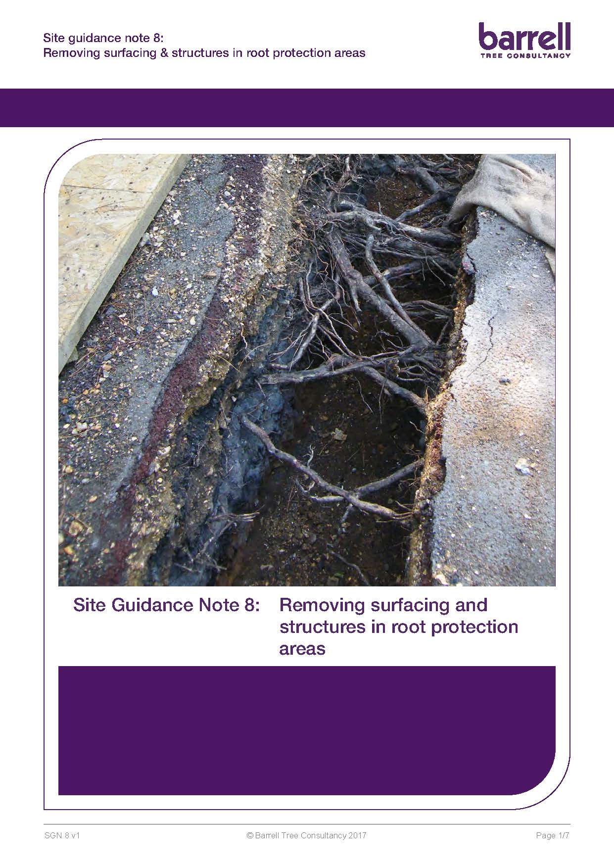 Site Guidance Note 8: Removing surfacing and structures in root ...